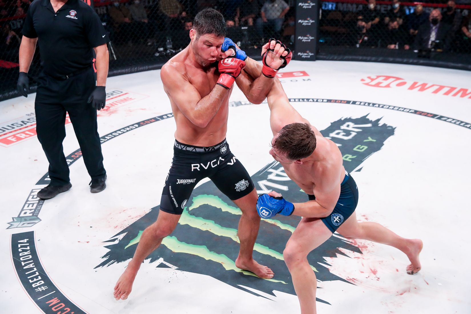 FIGHT NIGHT RESULTS, QUOTES & PHOTOS FOR BELLATOR MMA 274: GRACIE VS ...